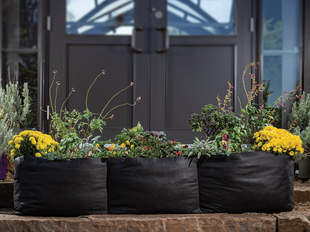 The Future of Raised Bed Gardening – Smart Pot