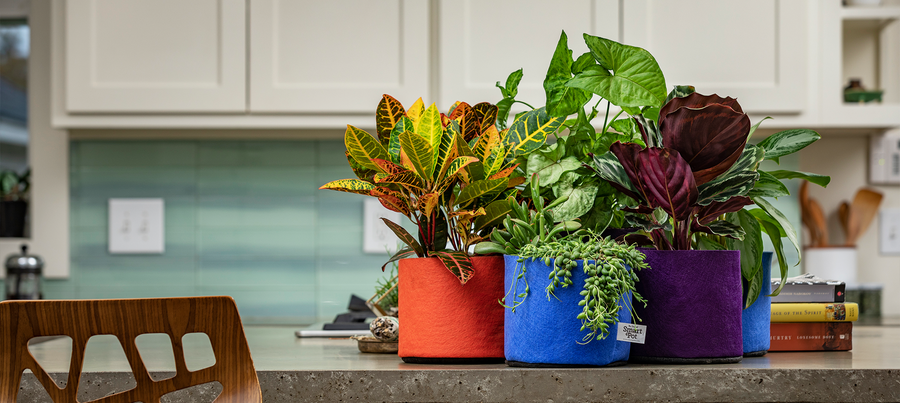 Smart Pots — USA-Made Fabric Grow Bags & Raised Beds | BPA & Lead Free