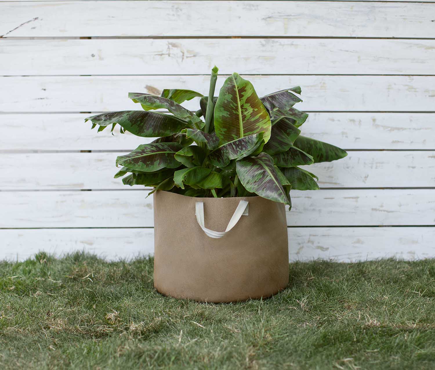 Shop All Smart Pots