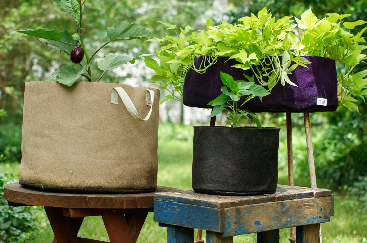 Smart Pots — USA-Made Fabric Grow Bags & Raised Beds | BPA & Lead Free